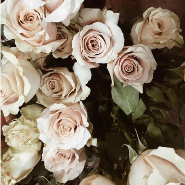 Rosas Eternas | Liofilizadas y Preservadas 【Al Mejor Precio】